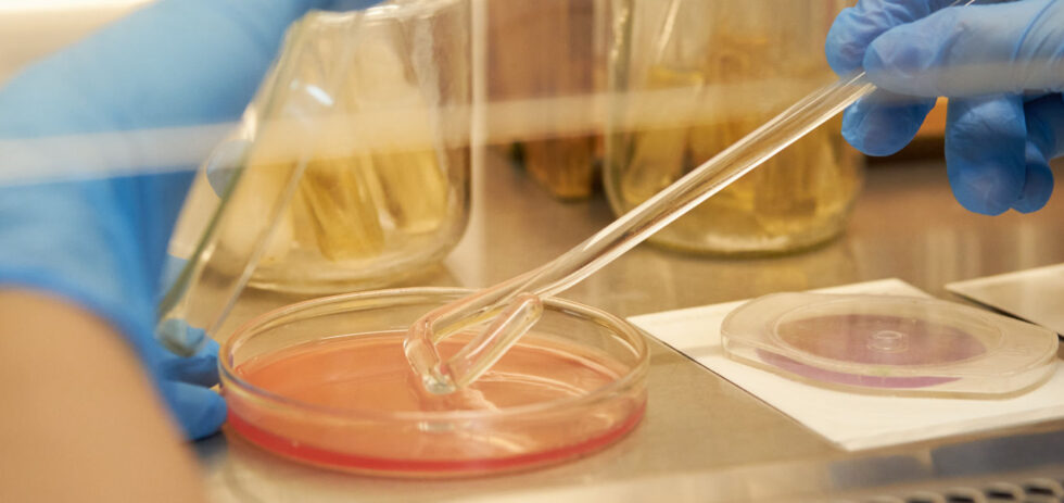 Feed - Biochem Technology